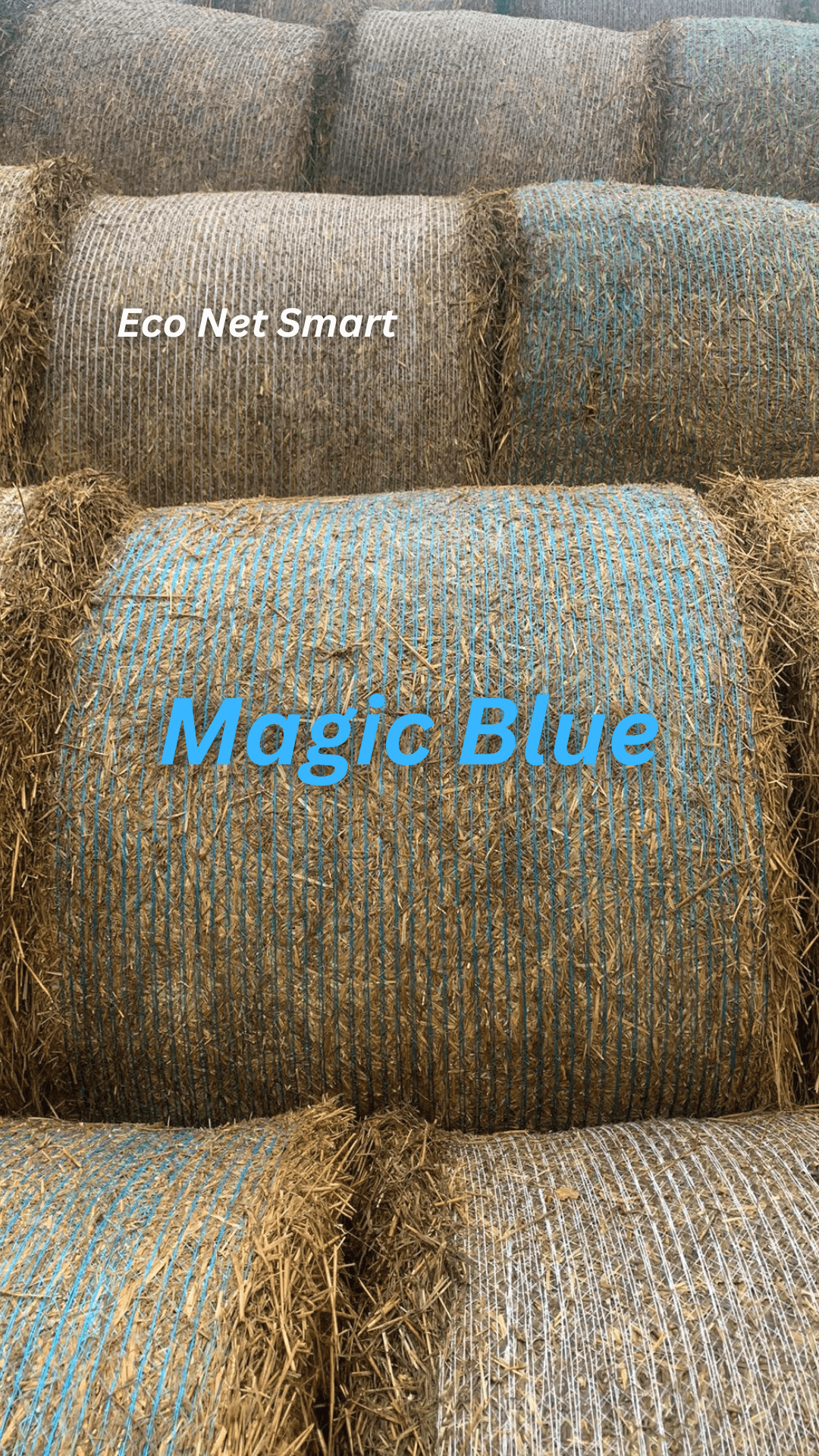 Magic Blue | Scandagra