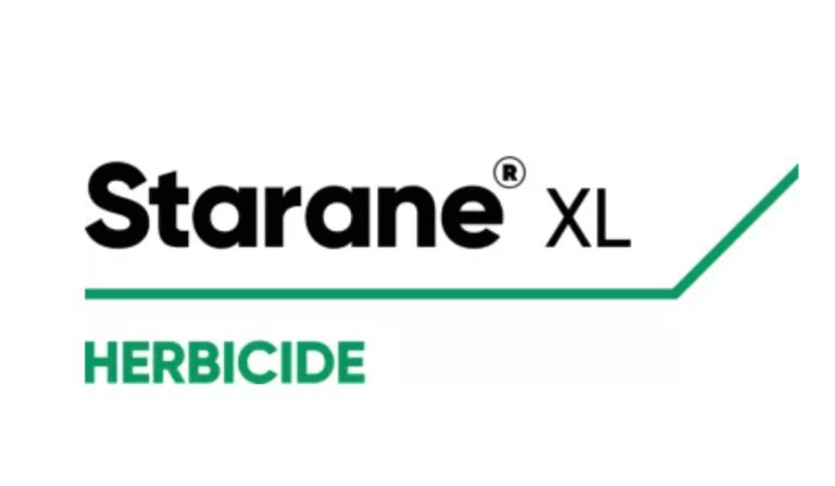 Starane XL | Teravilja herbitsiid | Scandagra Eesti