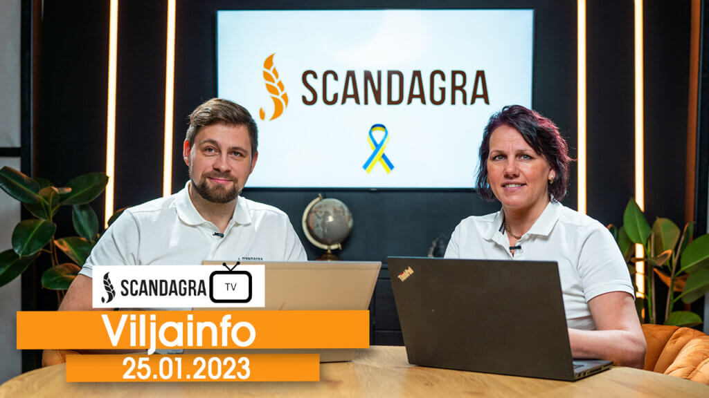 Scandagra TV | Scandagra